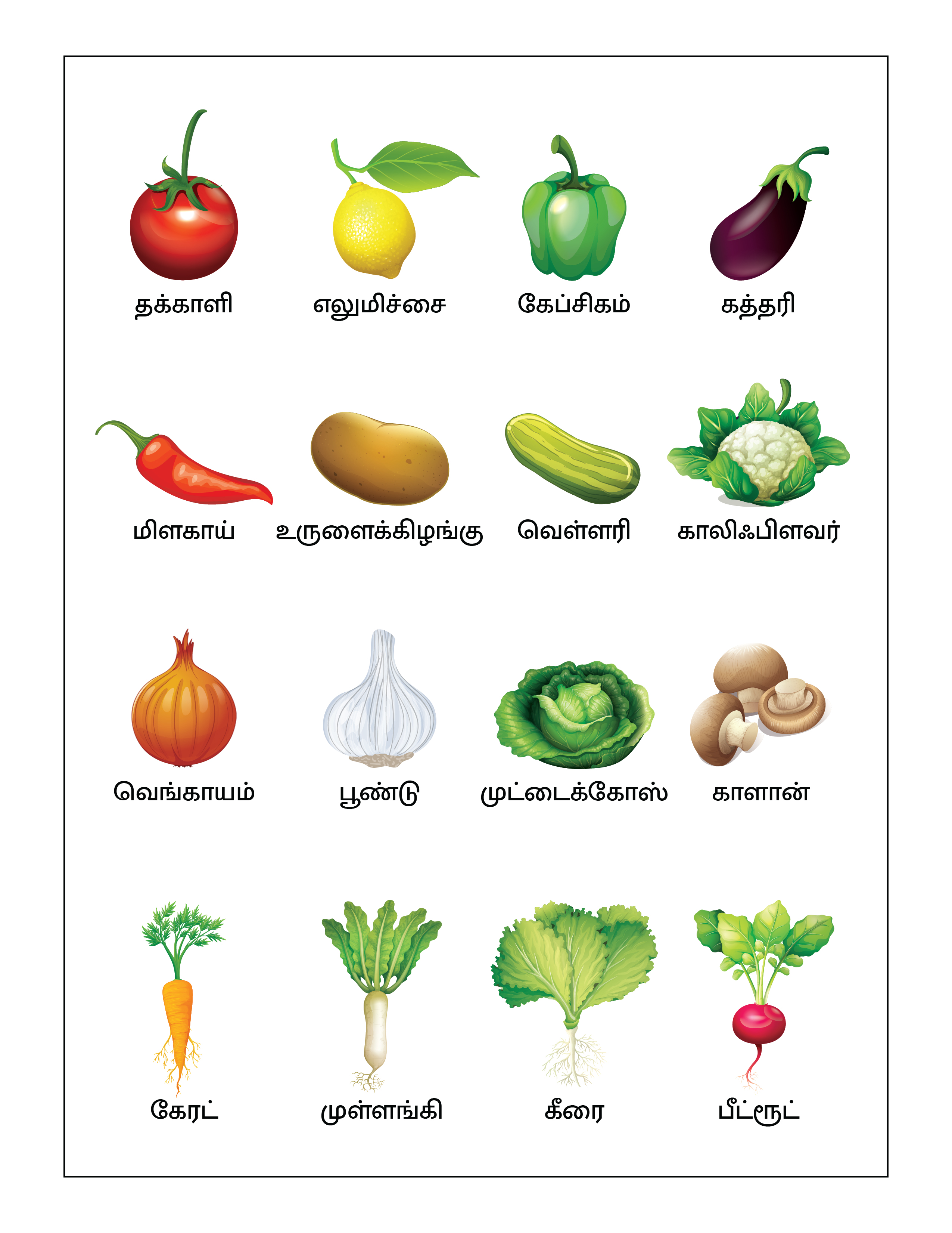 Learning Vegetables (Free Common and Advanced Vegetables Charts) – in ...
