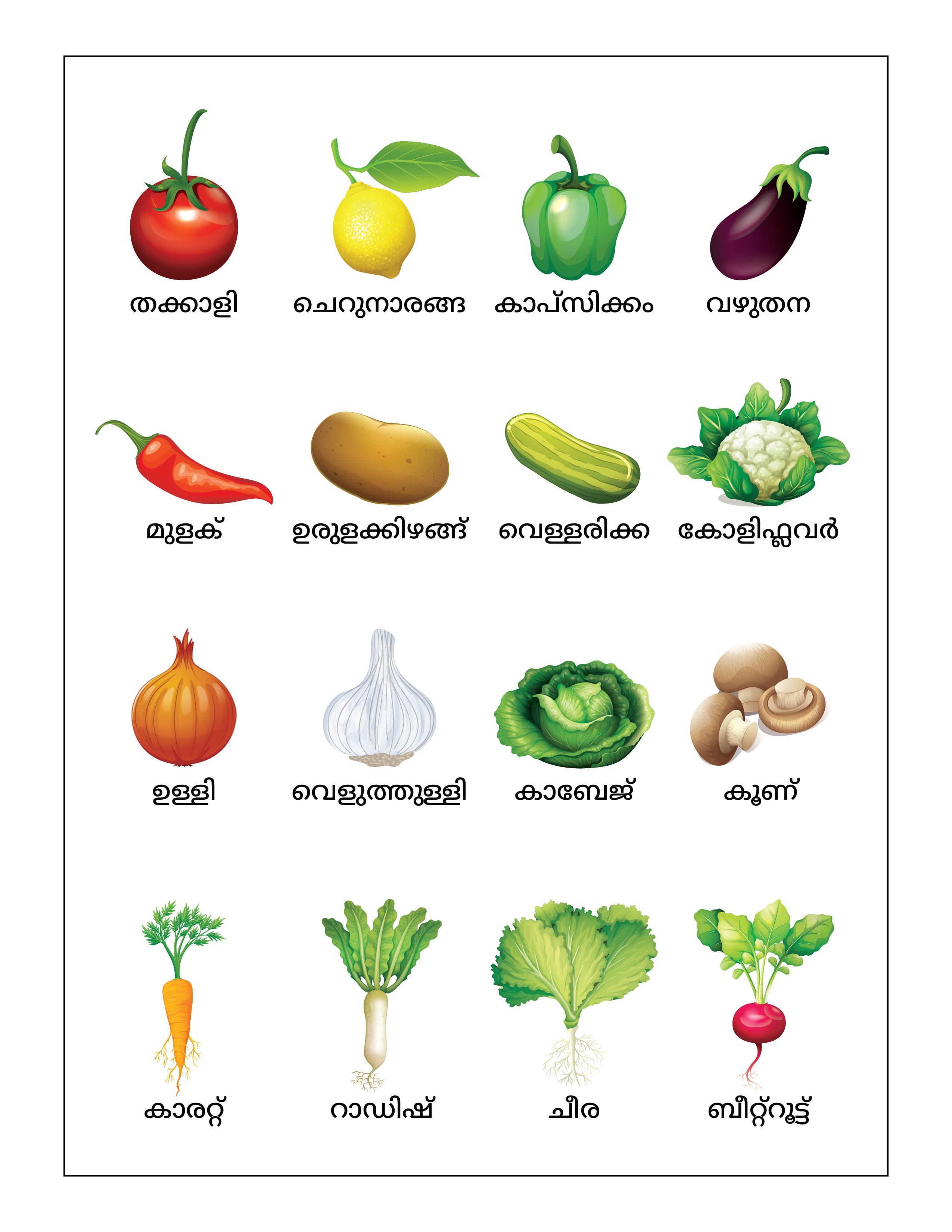 Learning Vegetables (Free Common and Advanced Vegetables Charts) – in ...