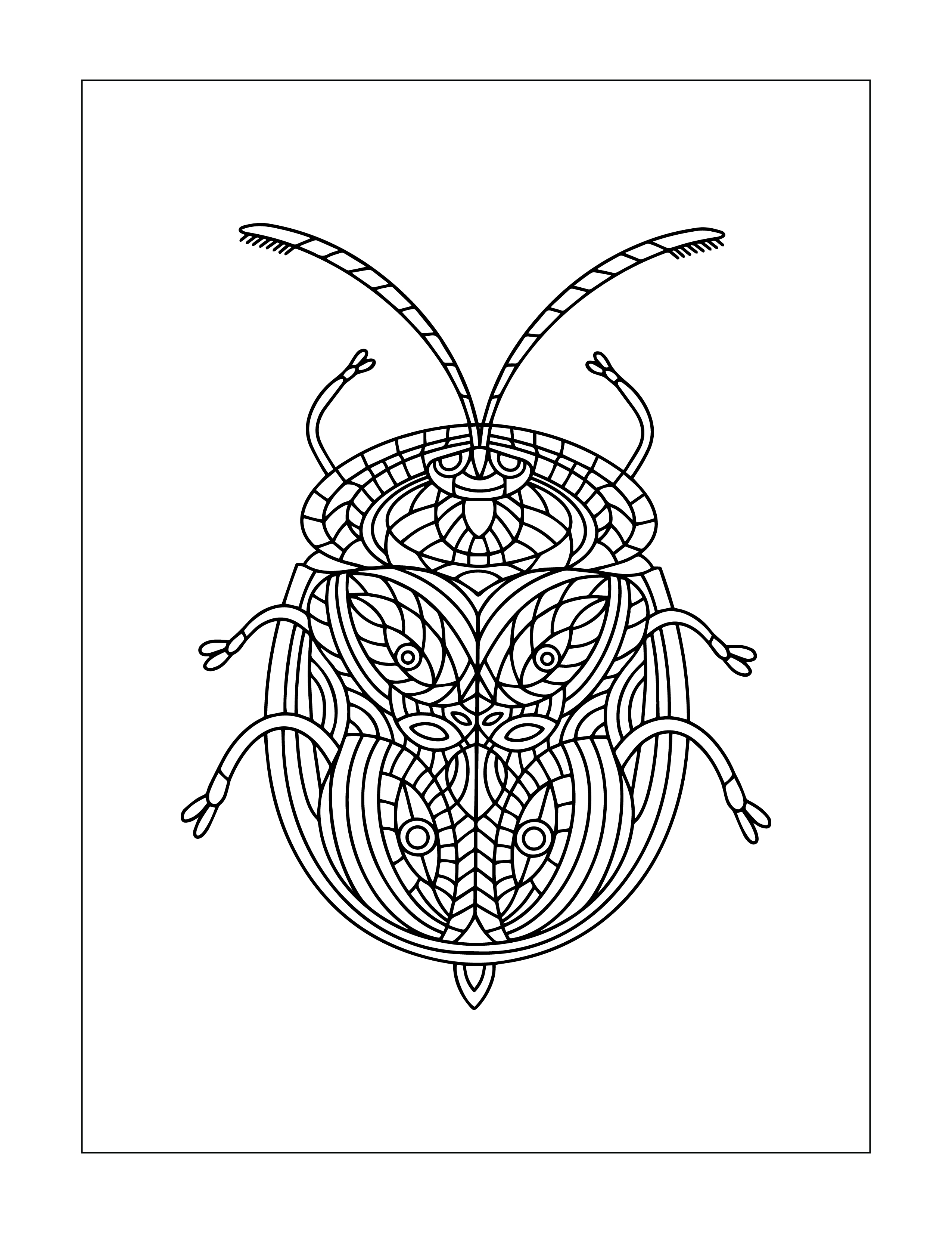 Free 3 Insect Colouring Pages For Kids – Colour Sonic