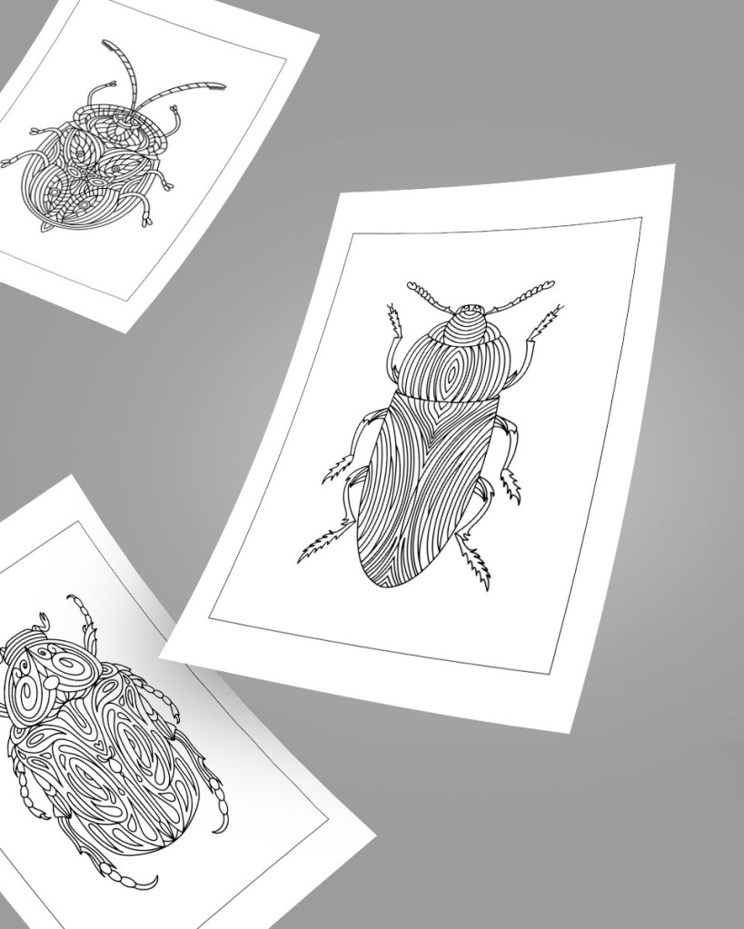 Free 3 Insect Colouring Pages For Kids – Colour Sonic