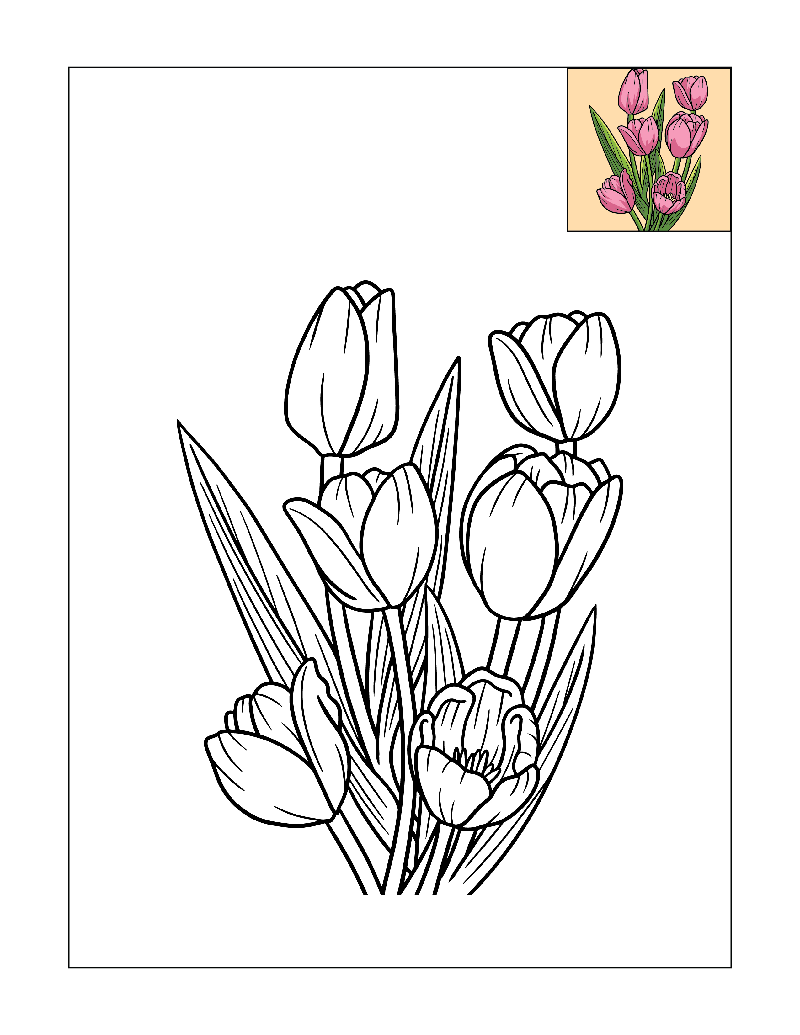 Beautiful Flowers – Free 2 Copy Colouring Pages – Colour Sonic