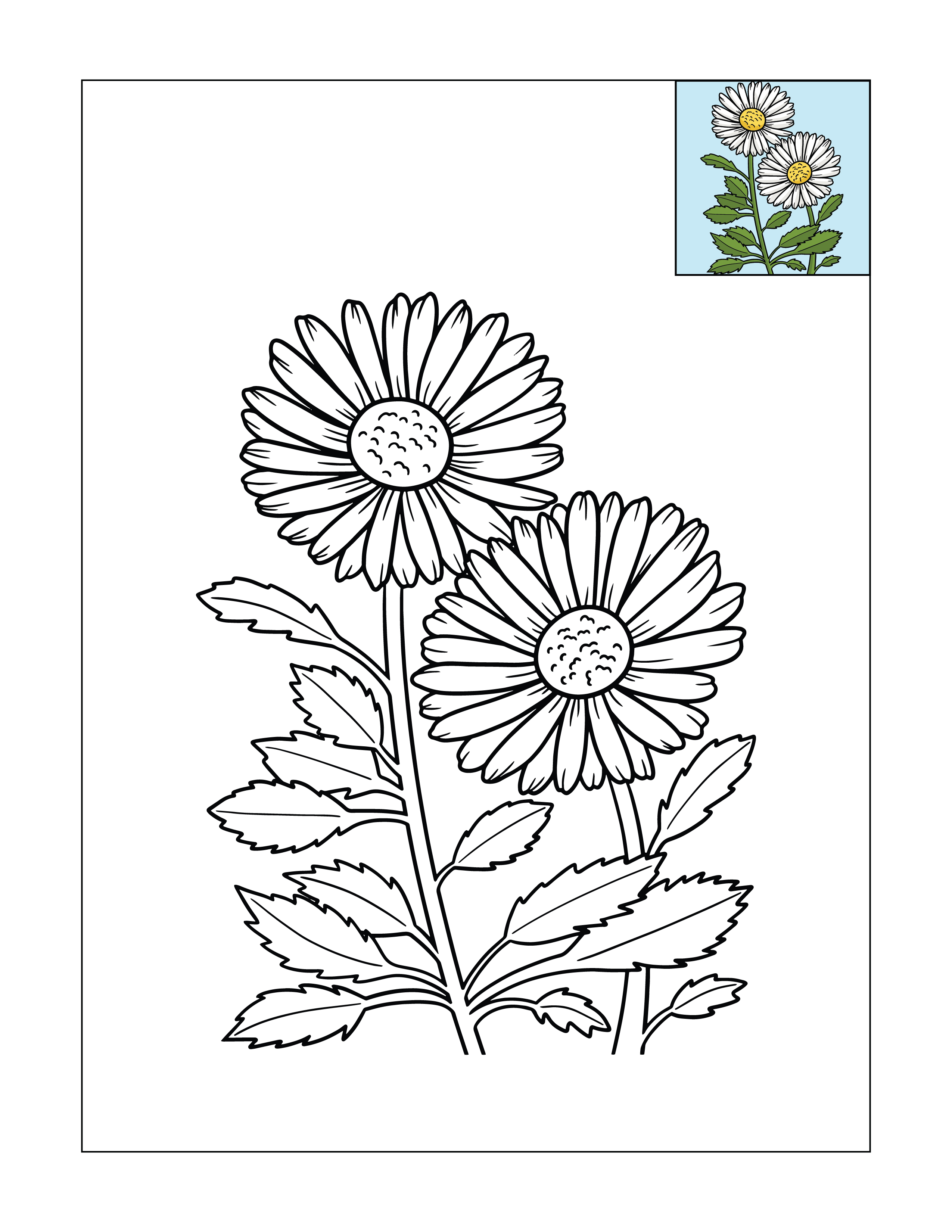 Beautiful Flowers – Free 2 Copy Colouring Pages – Colour Sonic
