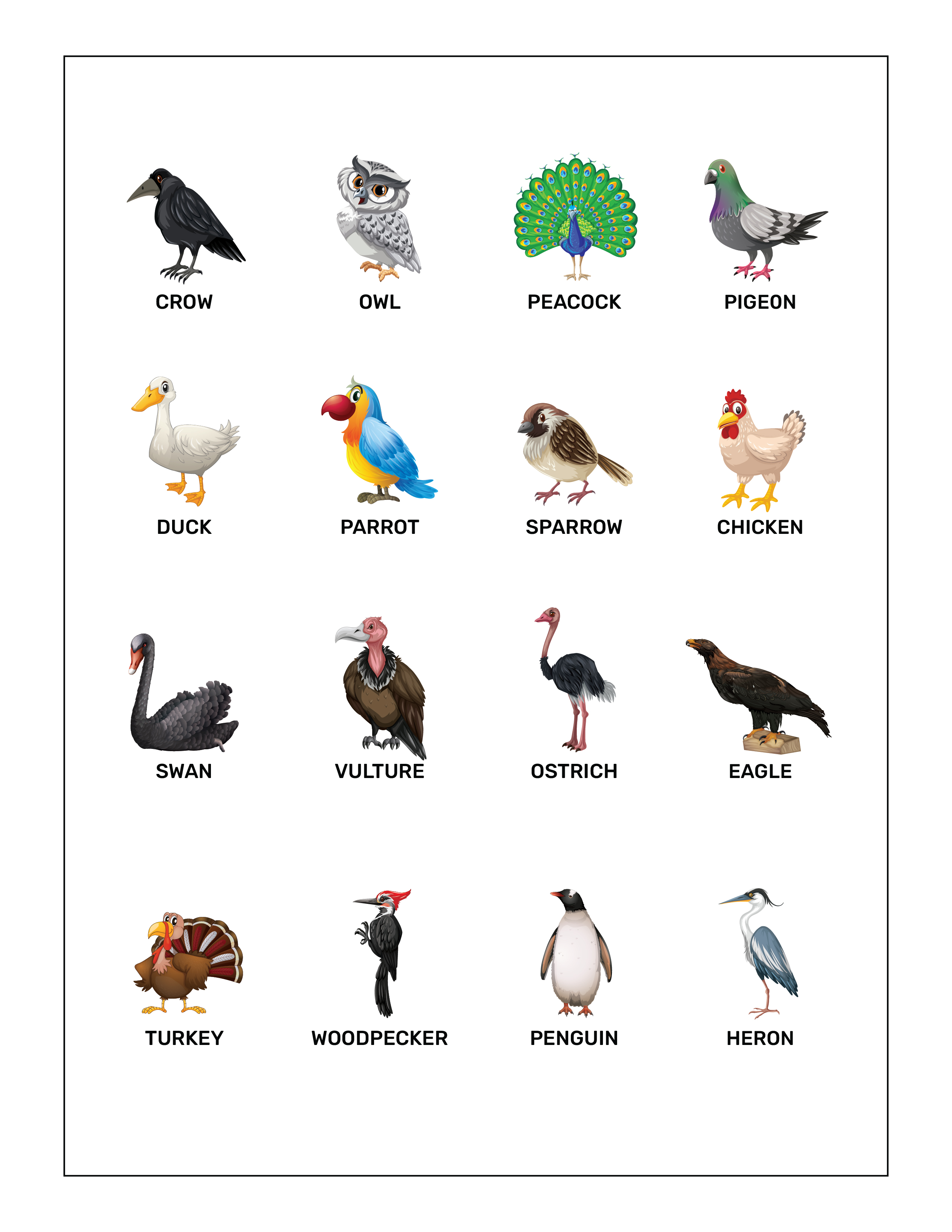 Learning Birds (Free Common and Advanced Bird Charts) – in English, Hindi, Marathi, Gujarati ...