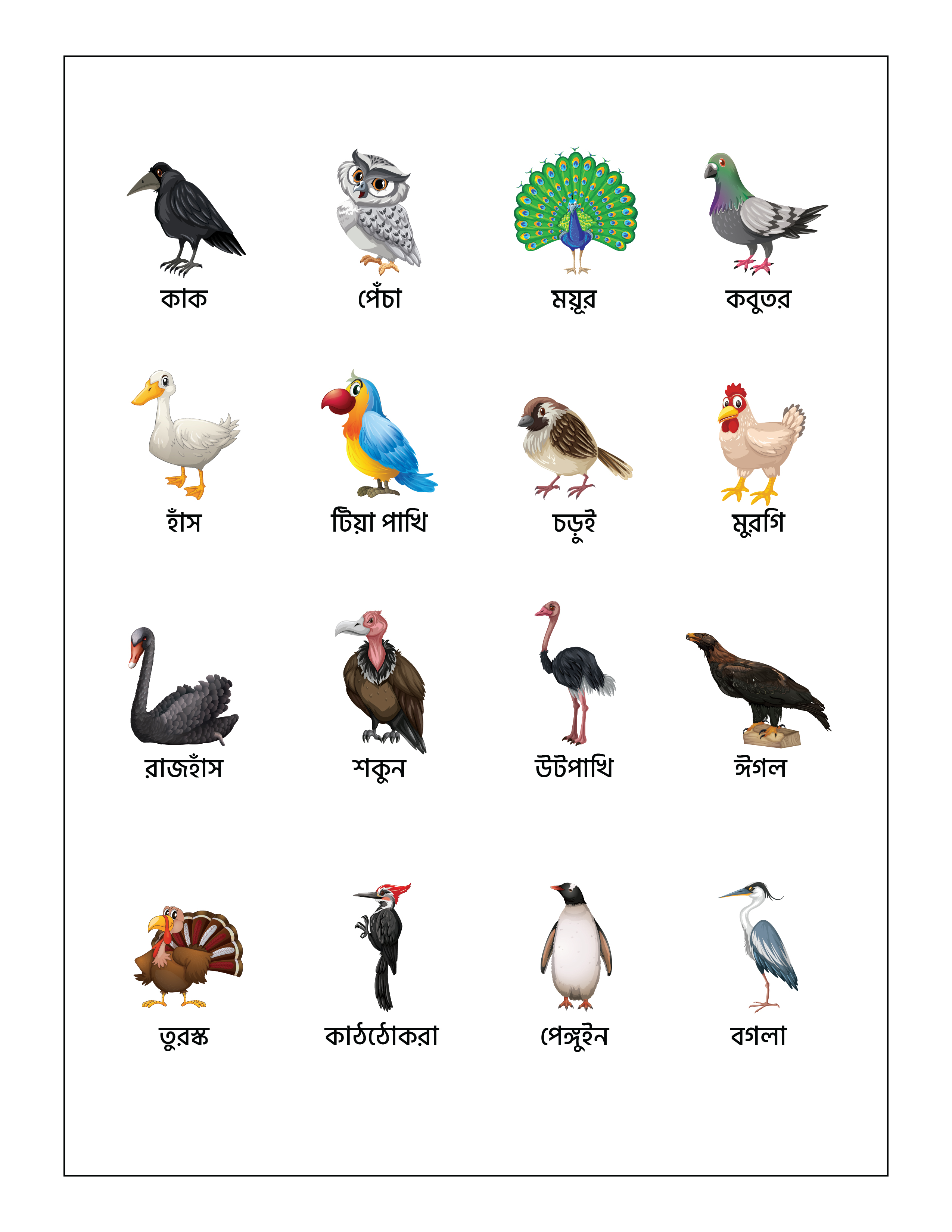 Learning Birds (Free Common and Advanced Bird Charts) – in English ...