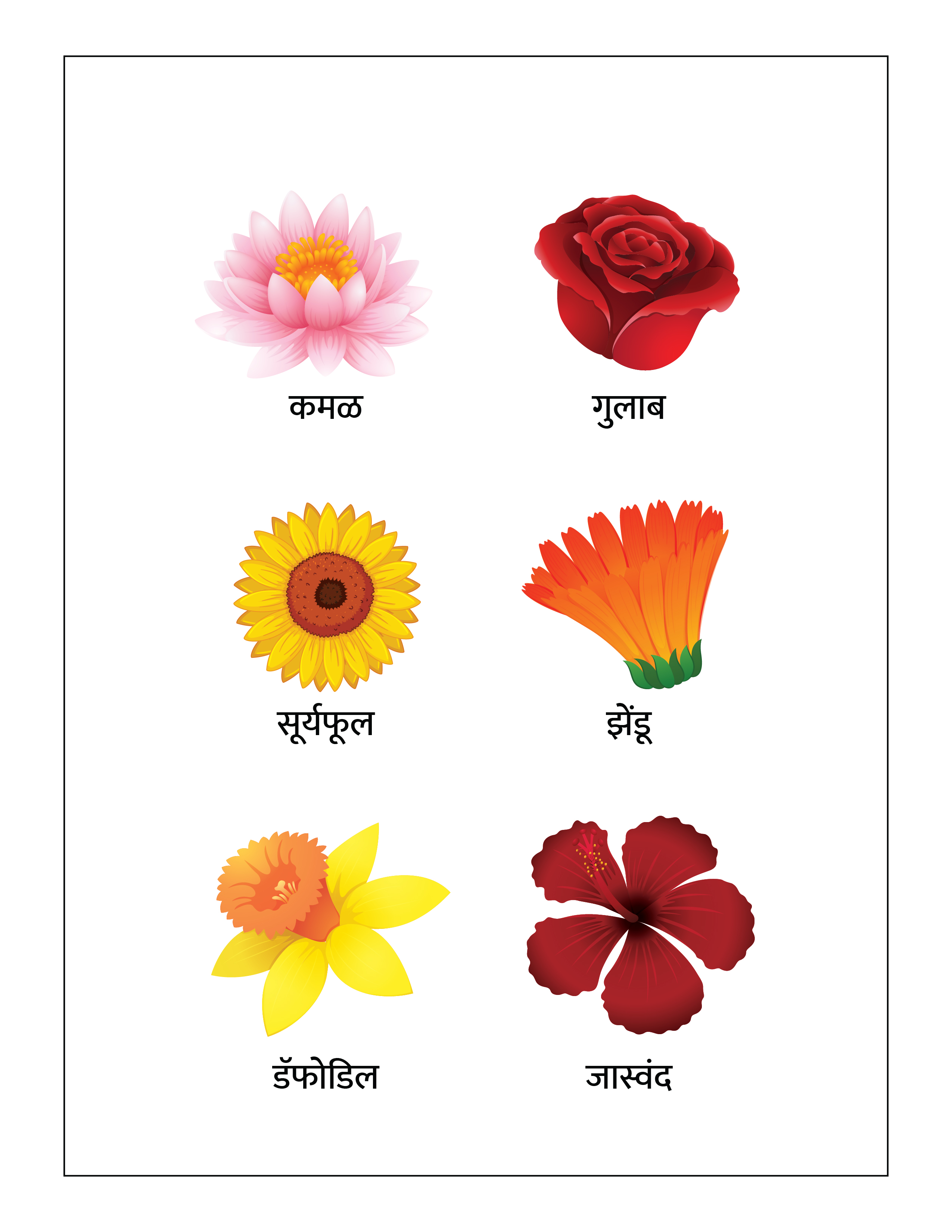 Learning Flowers (Free Common Flowers Chart) – in English, Hindi ...